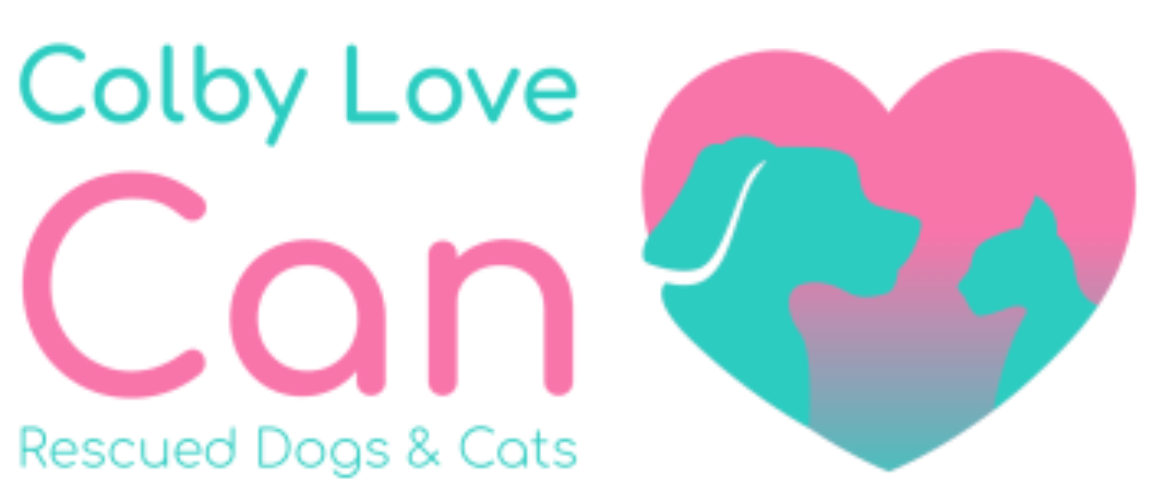 Colby Love Can - Paws and Recovery | Supporting Pets During Owner ...
