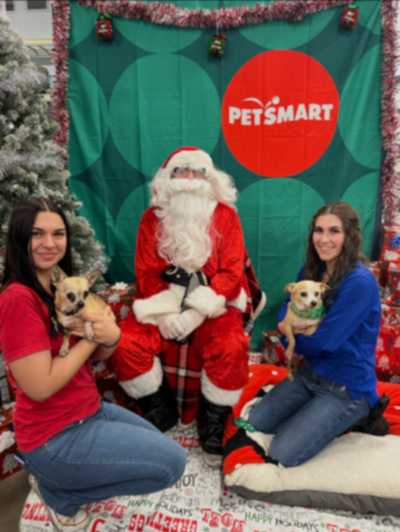 Colby Love Can - Paws and Recovery | Supporting Pets During Owner ...